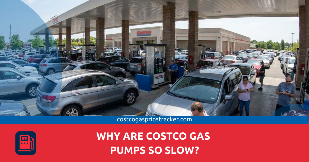Why Is The Gas Pump So Slow